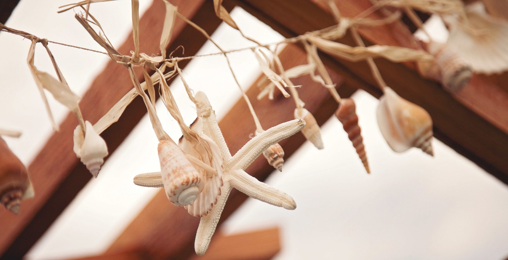 Hanging Shells - Island Chef Services